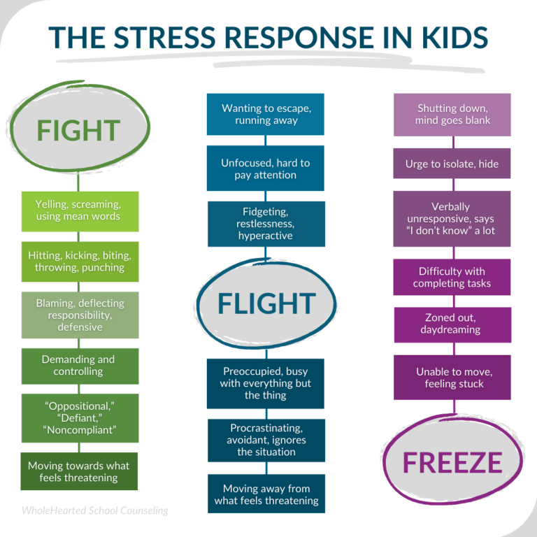 How Stress Shows Up in Children – NorthLakes Community Clinic